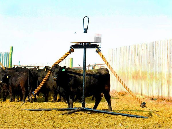 Home Pioneer Coupler Cattle Oiler Co home-pioneer-coupler-cattle-oiler-co